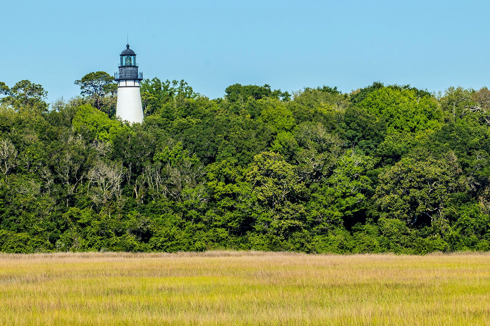 9 Best Things to Do in Amelia Island - Find Fun on This Enchanting ...