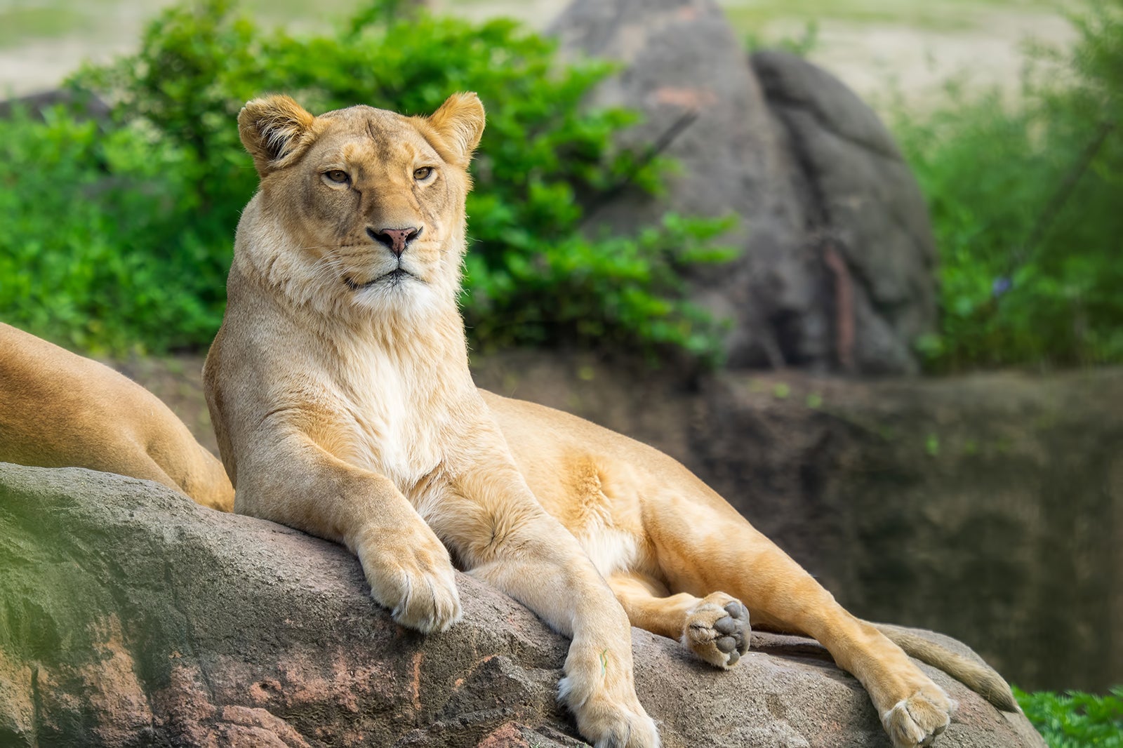 10 Best Things to Do in Orange County - Find Fun in Southern California ...