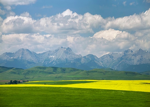 Top 10 Hotels in High Prairie, Alberta - Cancel FREE on most hotels ...