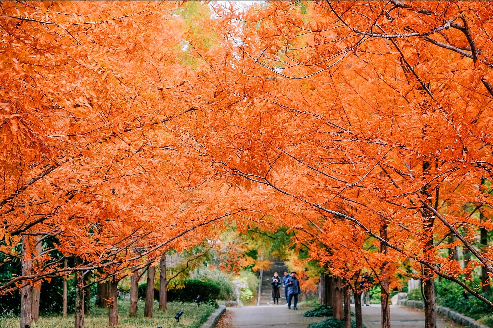 10 Things to Do in Kobe on a Small Budget - What are the Cheap Things ...
