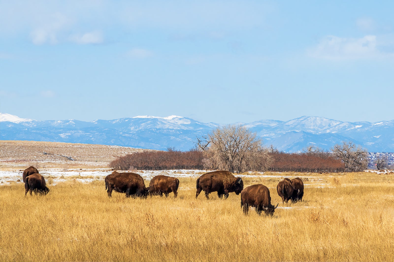 10 Best Natural Sights around Denver - Escape to Denver’s Most ...