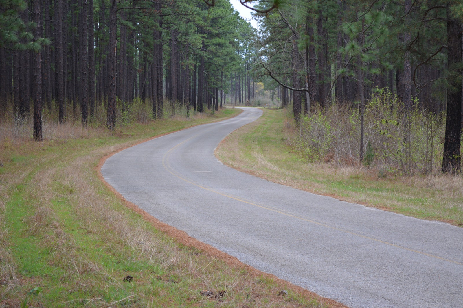 10 Best Outdoor Adventures in Houston - Escape for an Active Weekend in ...