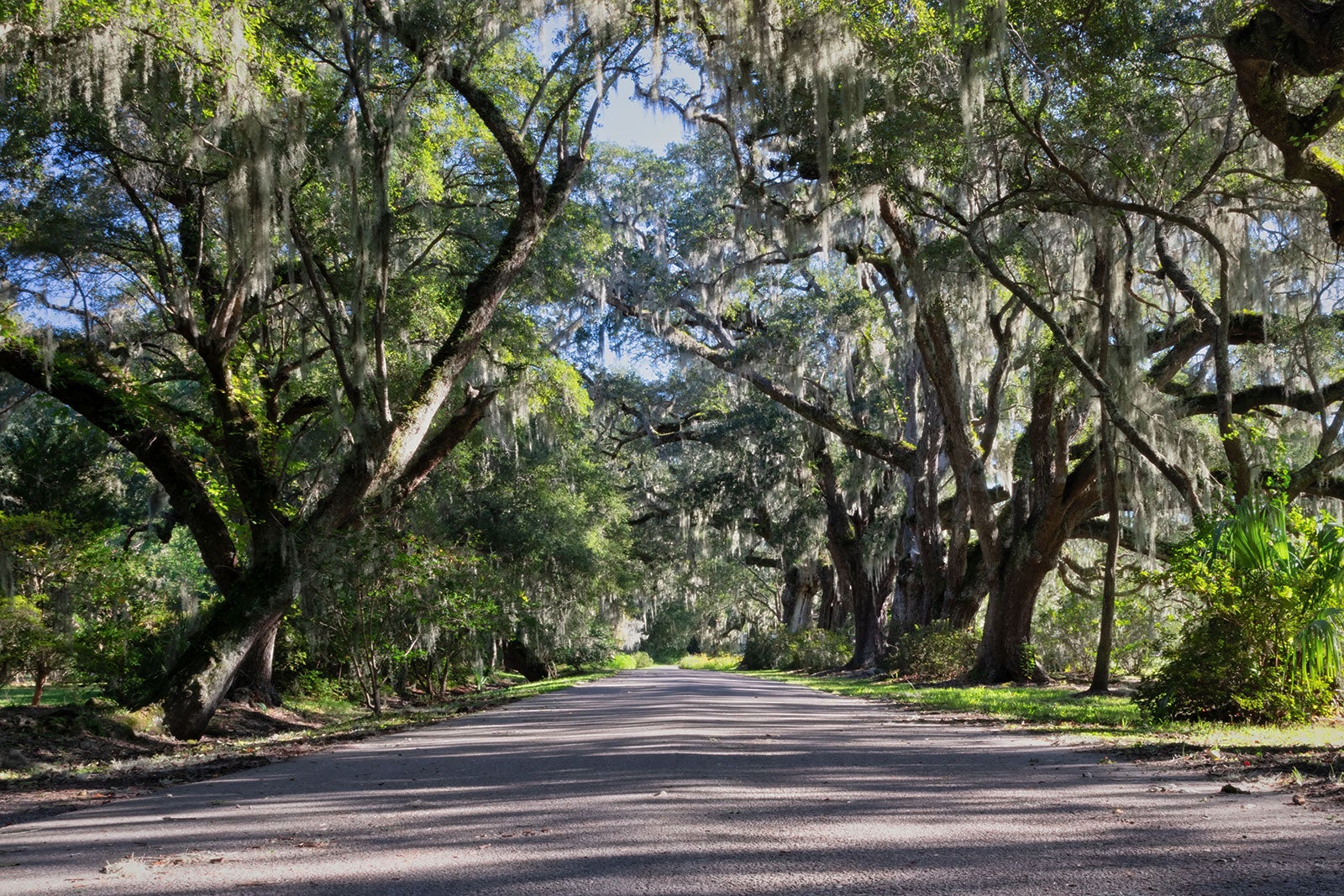 10 Most Popular Neighbourhoods in Charleston - Where to Stay in ...