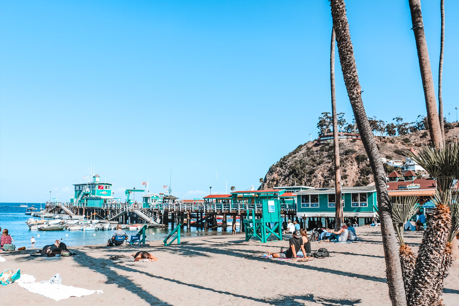10 Best Beaches on Catalina Island - Go Camping, Snorkeling, or ...