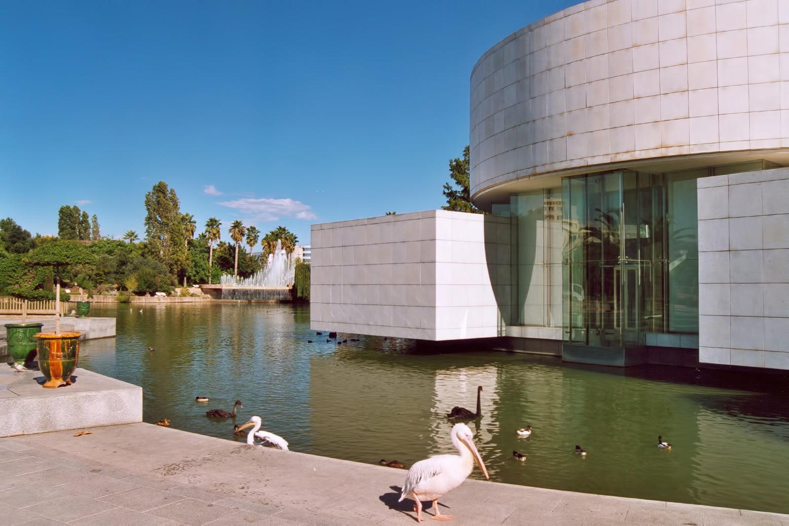 Parc Phoenix - Explore 7 Hectares of Native and Exotic Flora and Fauna ...