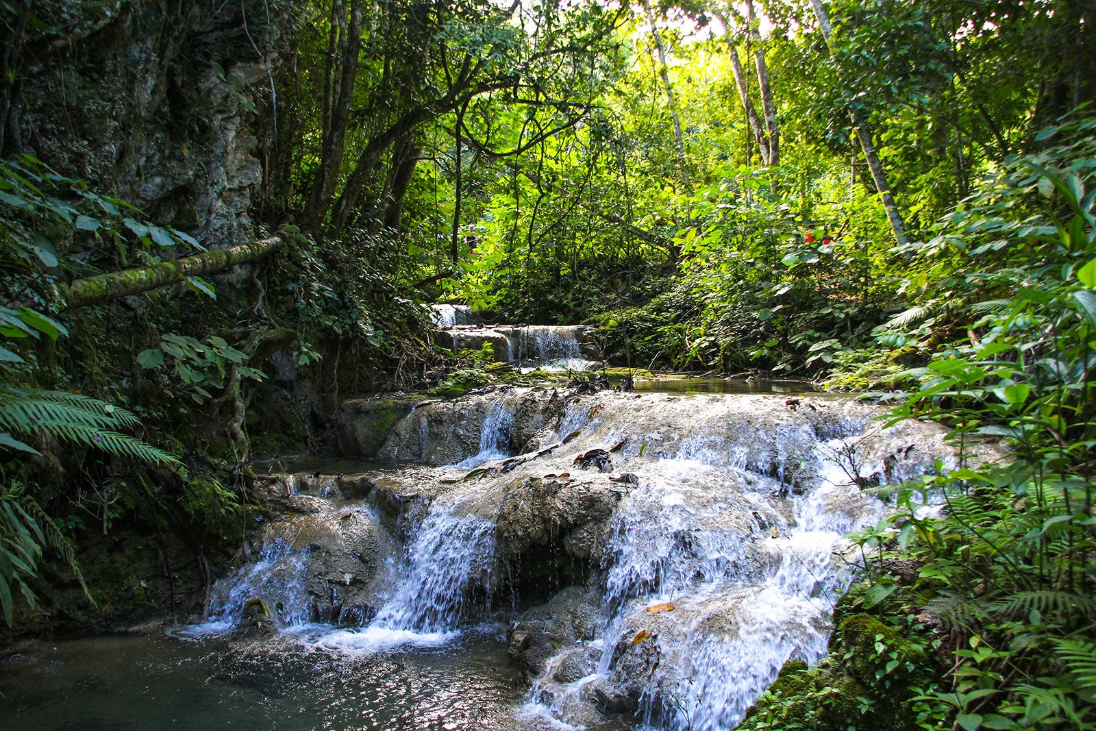 10 Best Waterfalls Near Portland - Explore Northwest Oregon’s Most ...