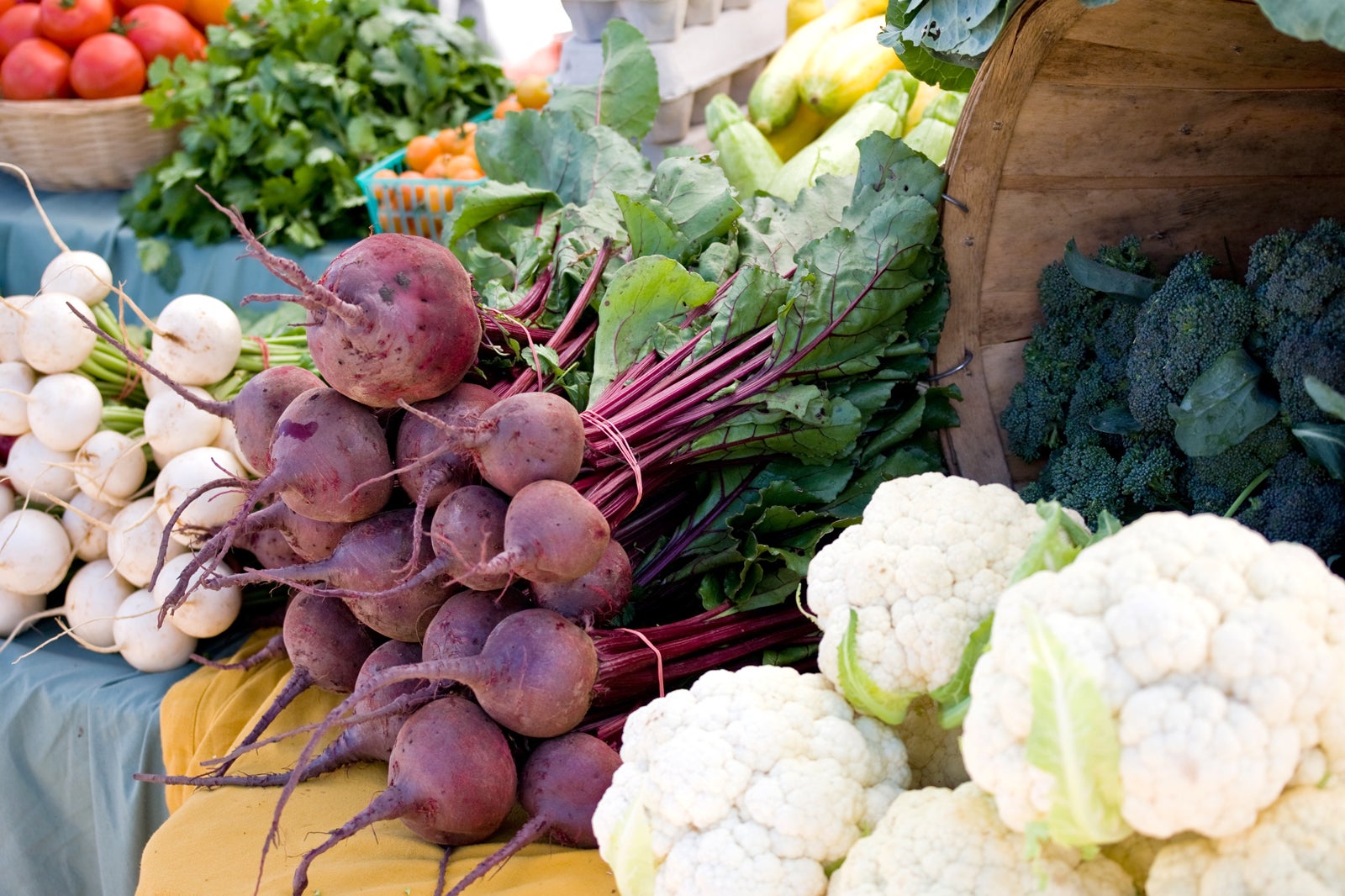 10 Best Markets in Cape Cod - Where to Go Shopping like a Local in Cape ...