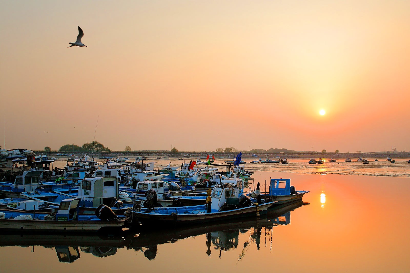 10 Most Instagrammable Places in Incheon - Where to Take Stunning ...