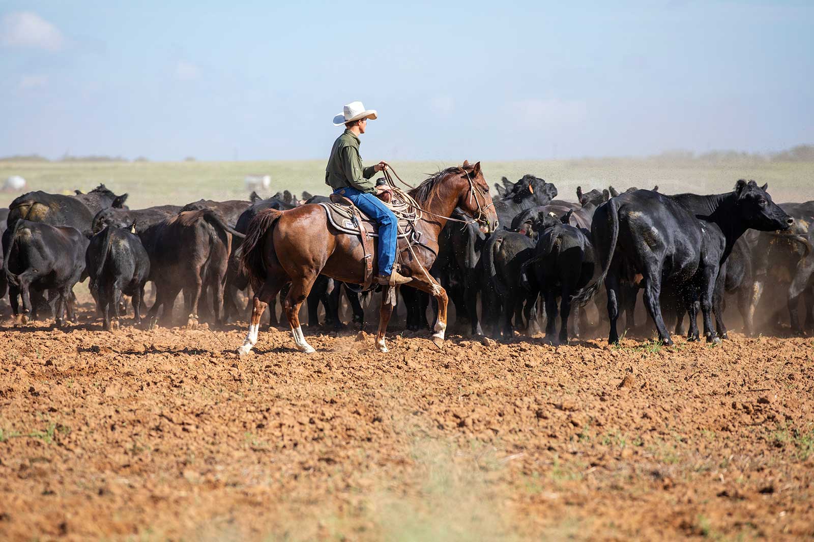 10 Best Places to Visit in Texas with Family - What to Do for Fun in ...