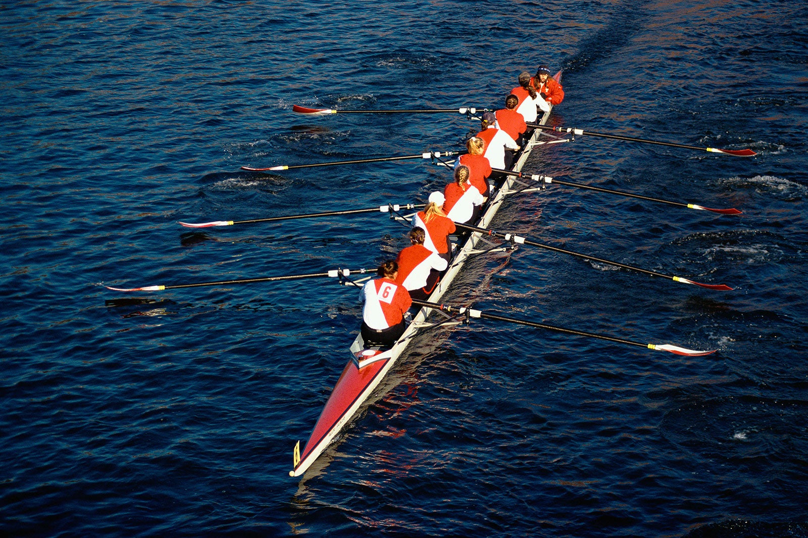 10 Best Festivals and Events in Boston - Lively and Festive Events in ...