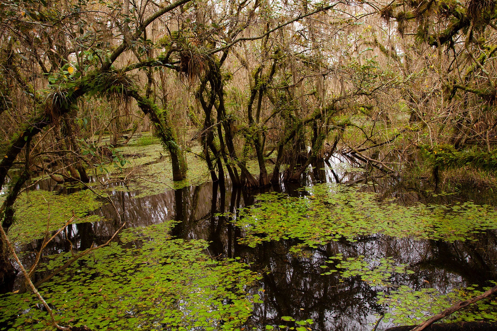 10 Best National Parks in Florida - Escape to Florida’s Most Beautiful ...