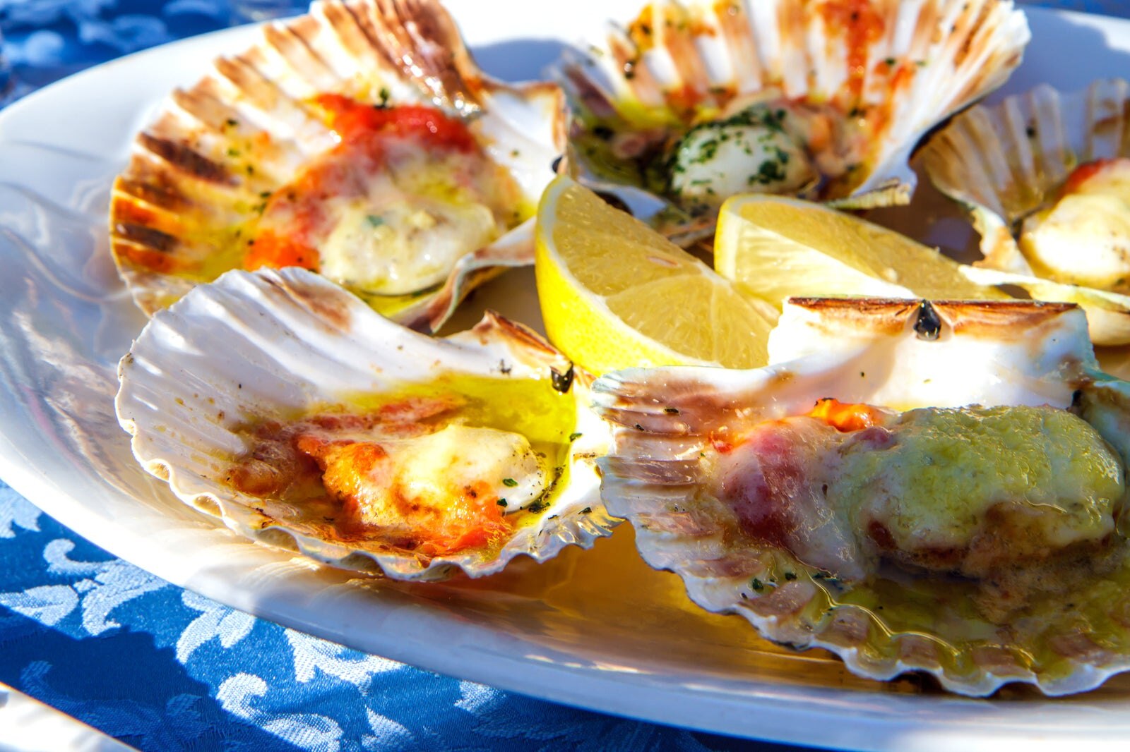 10 Best Local Restaurants in Cape Cod - Where to Find Cape Cod’s Best ...