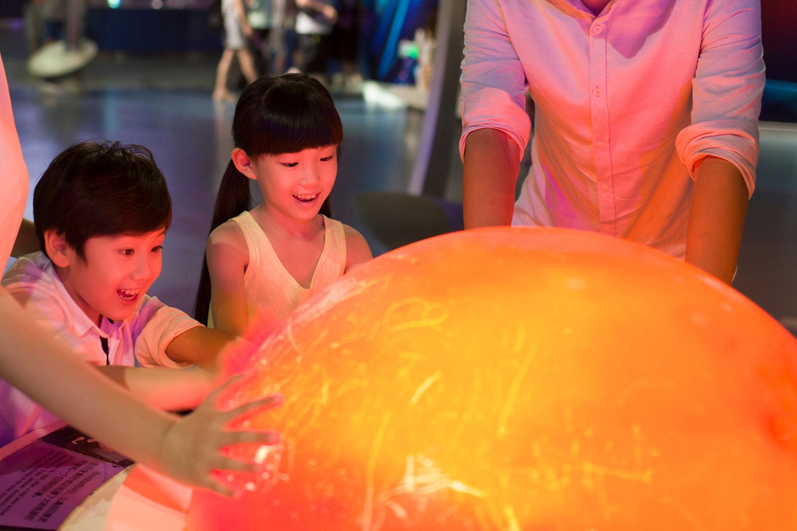 10 Best Museums in Portland - Where to Discover Portland’s History, Art ...