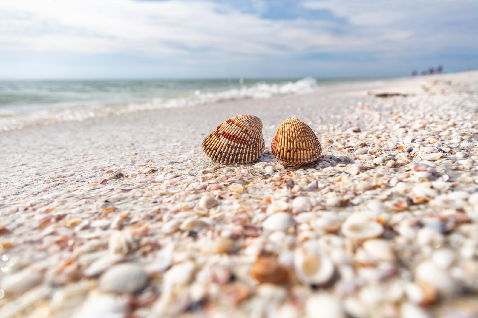 9 Best Beaches on Sanibel Captiva Island - Check Out the Top Beach ...