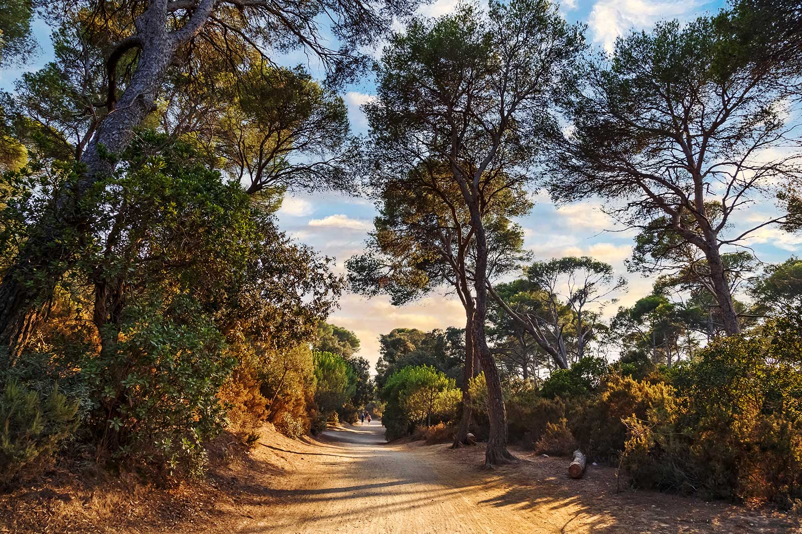 10 Best Hikes Around Toulon - Take a Walk Around Toulon’s Most ...
