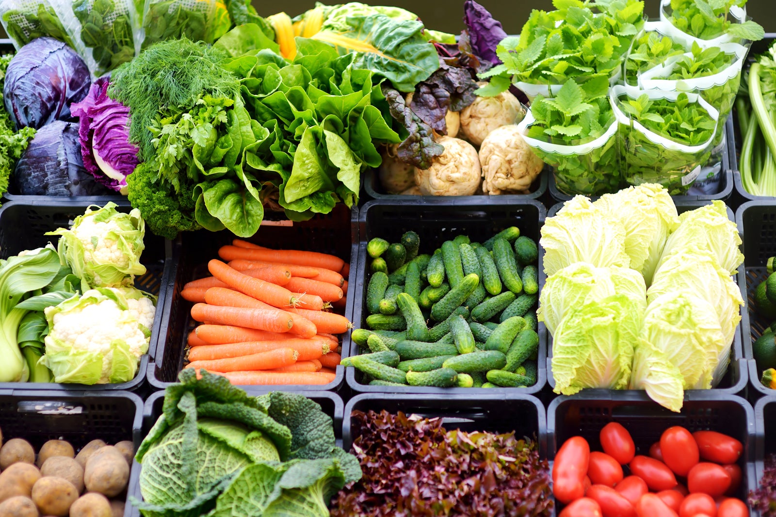 10 Best Places to Go Shopping in Cape Cod - Where to Shop in Cape Cod ...