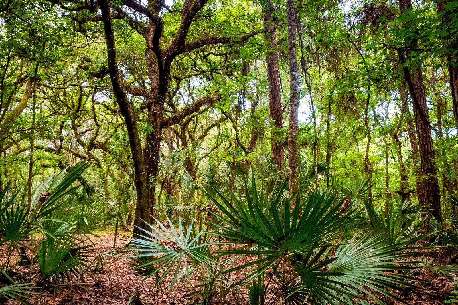 10 Best National Parks in Florida - Escape to Florida’s Most Beautiful ...