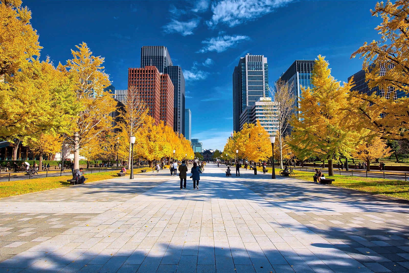 20 Best Things to Do in Tokyo - What is Tokyo Most Famous For? – Go Guides