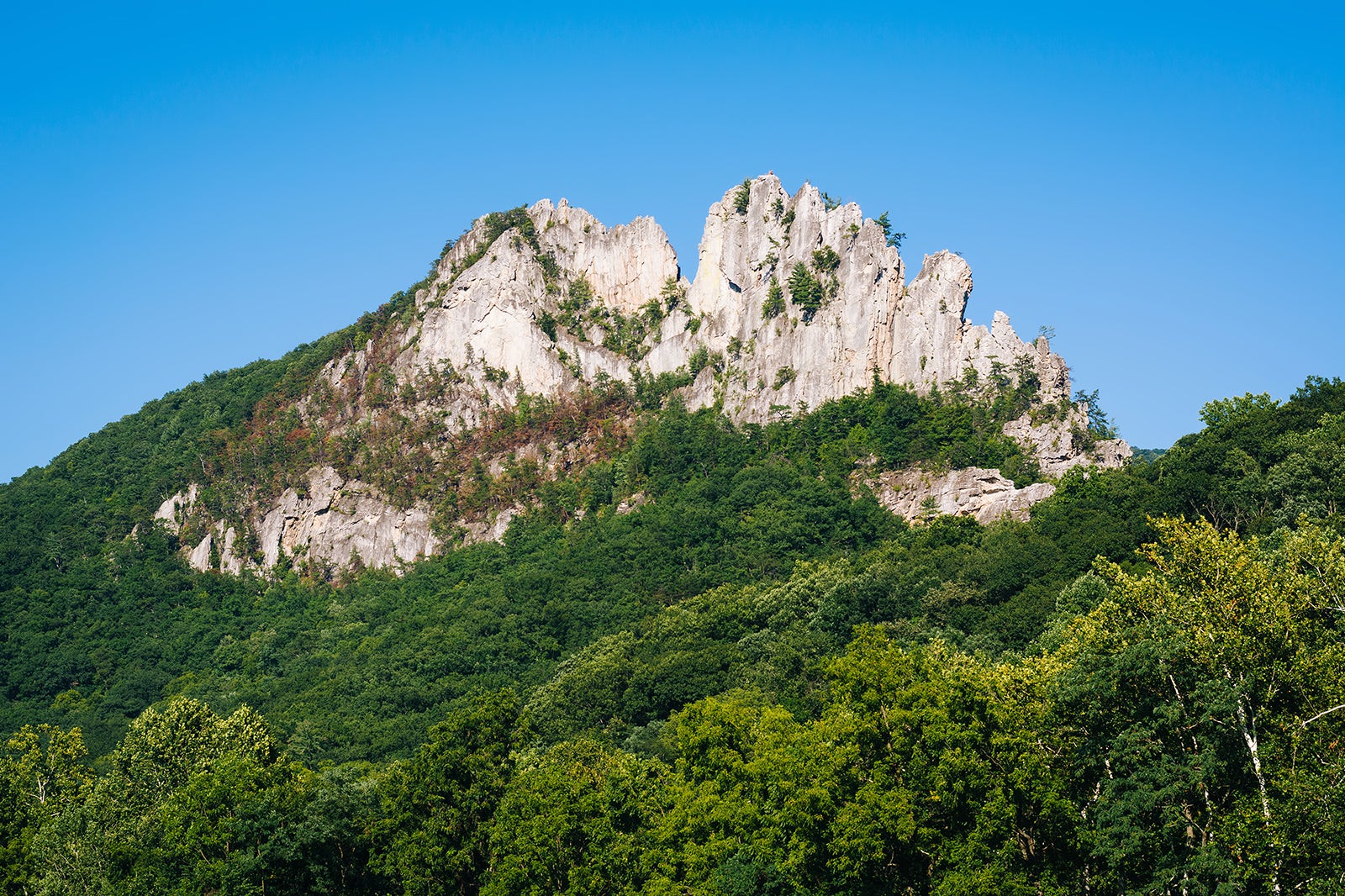 10 Best Things to Do in West Virginia - Escape Charleston on a Road ...