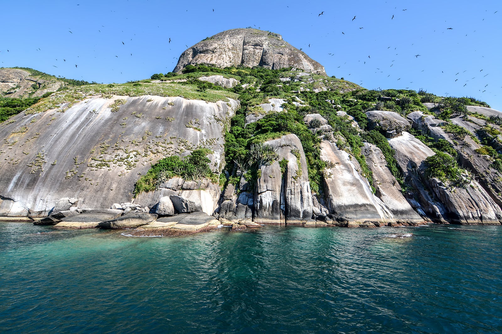 Arquipélago de Alcatrazes em São Sebastião - Um paraíso do ecoturismo ...