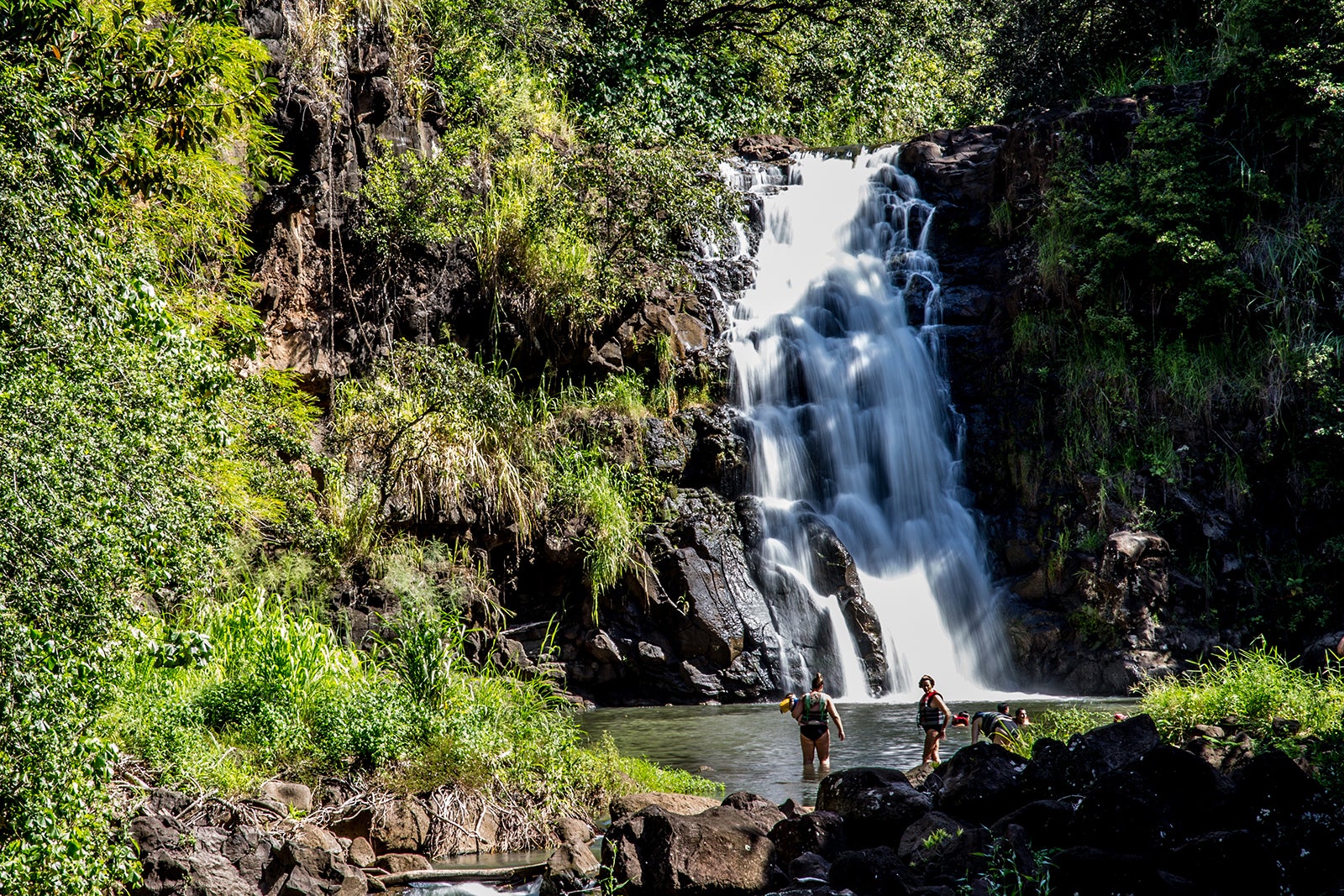 Waimea Valley in Oahu - A Hawaiian Historical Nature Park with Lush ...