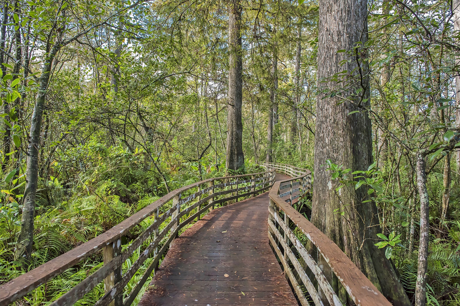 7 Best Family Things to Do in Naples - What to Do for Fun in Naples ...