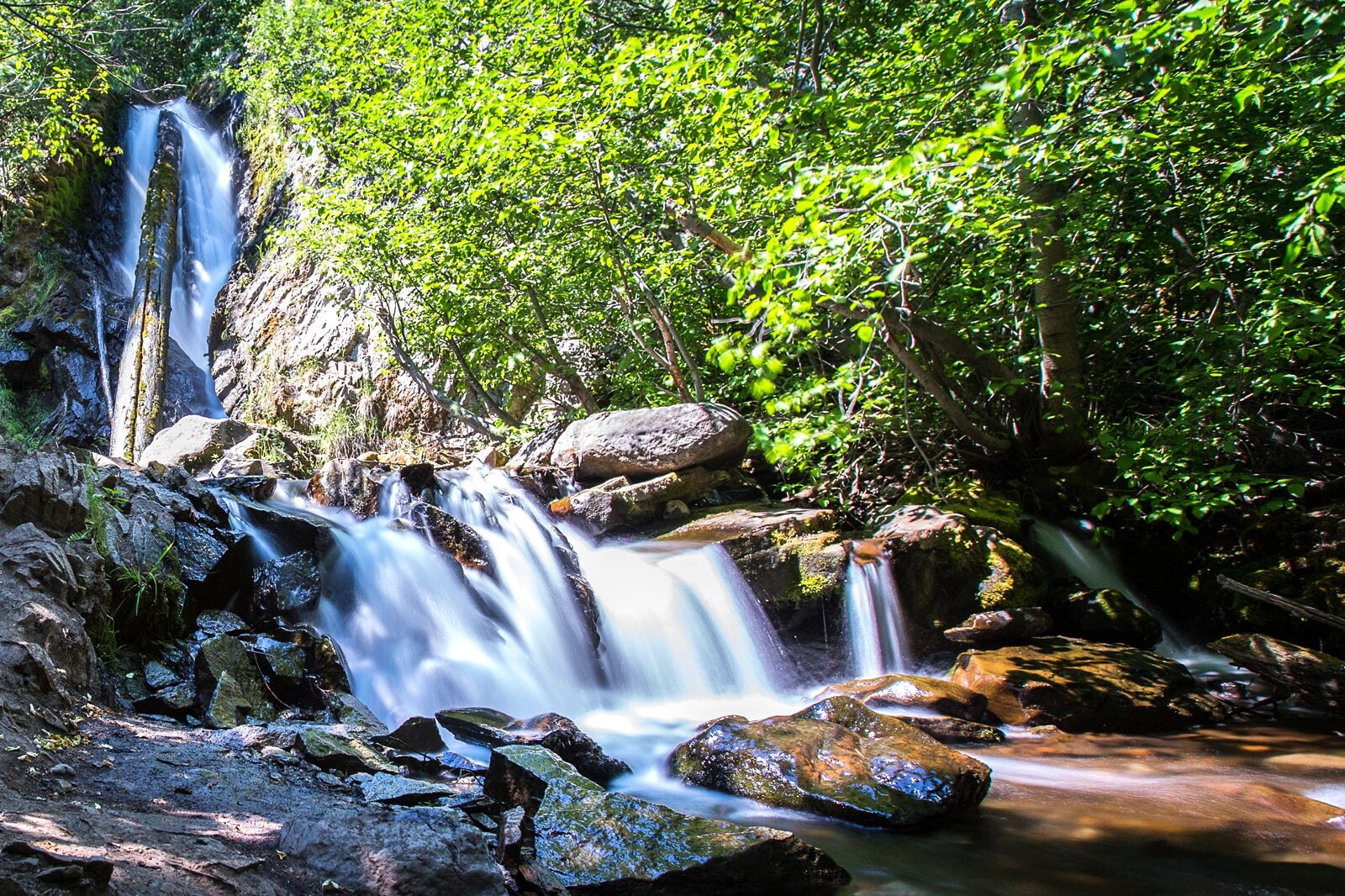 10 Things to Do in Reno on a Small Budget - What are the Cheap Things ...