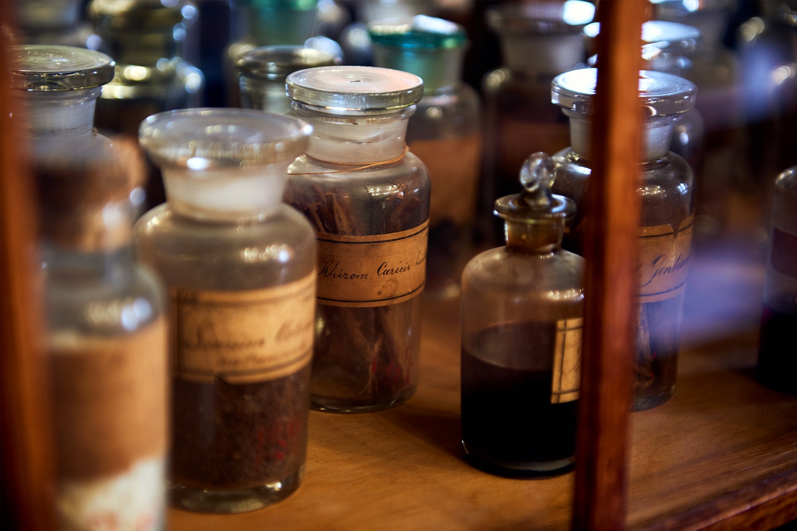 New Orleans Pharmacy Museum - Visit the Home of the First Licensed ...