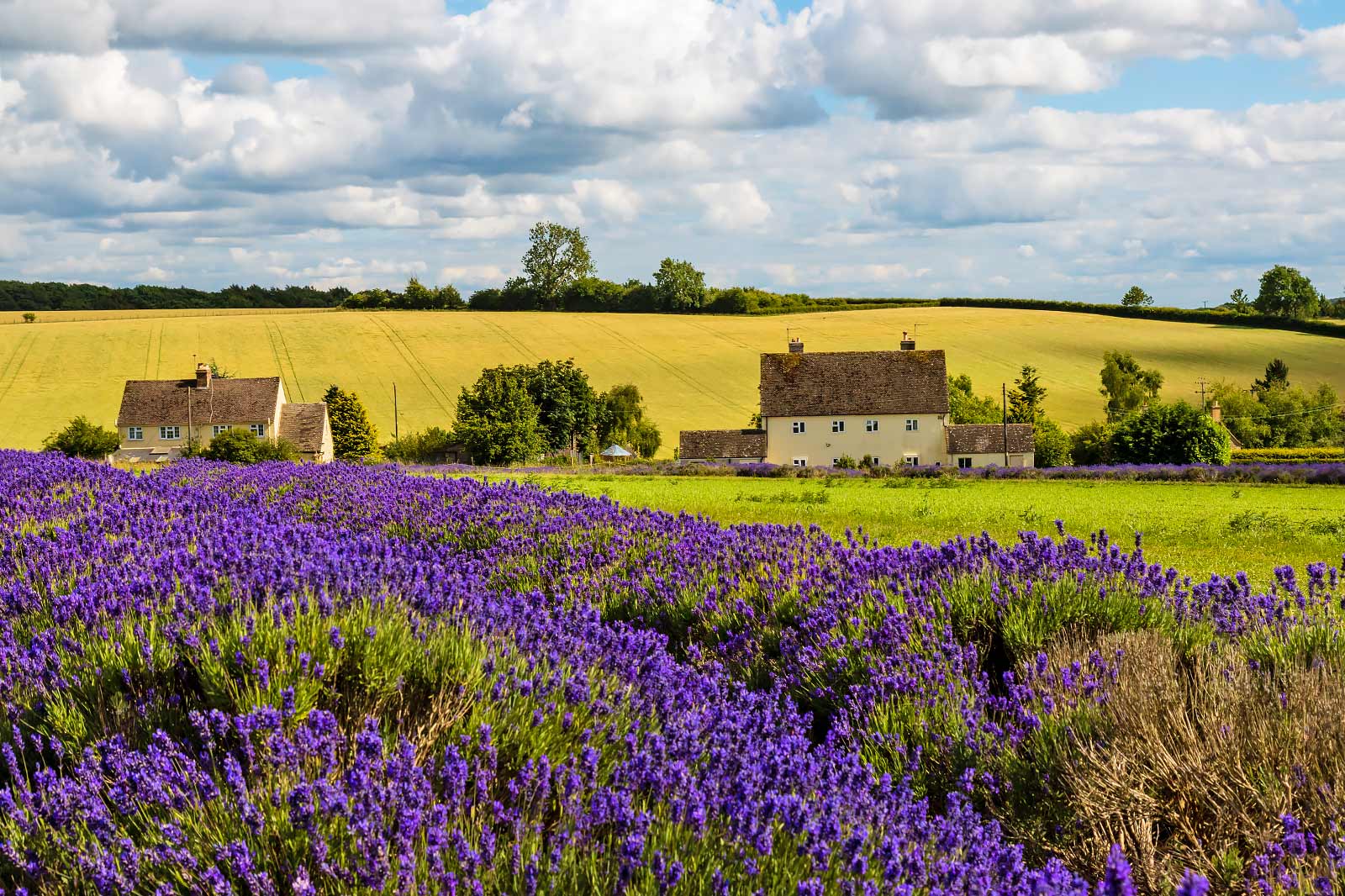 10 Most Instagrammable Places in the Cotswolds - Where to Take Stunning ...