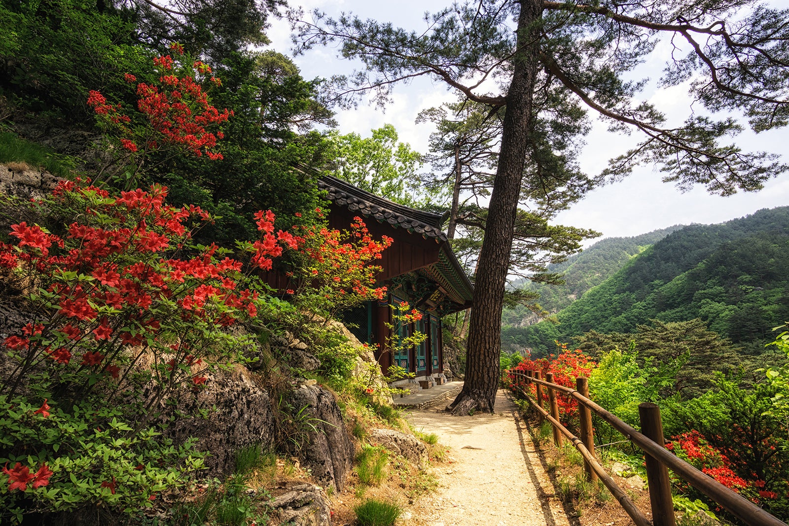 10 Best Outdoor Adventures in and Around Goseong - Escape for an Active ...