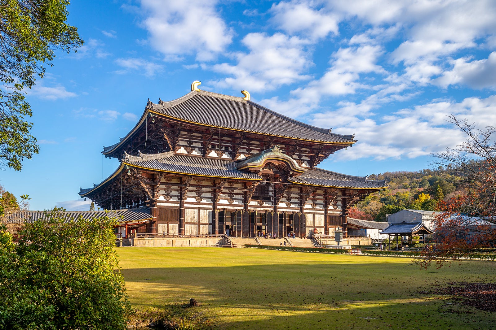 Nara Travel Essentials - Useful Information to Help You Start Your Trip ...