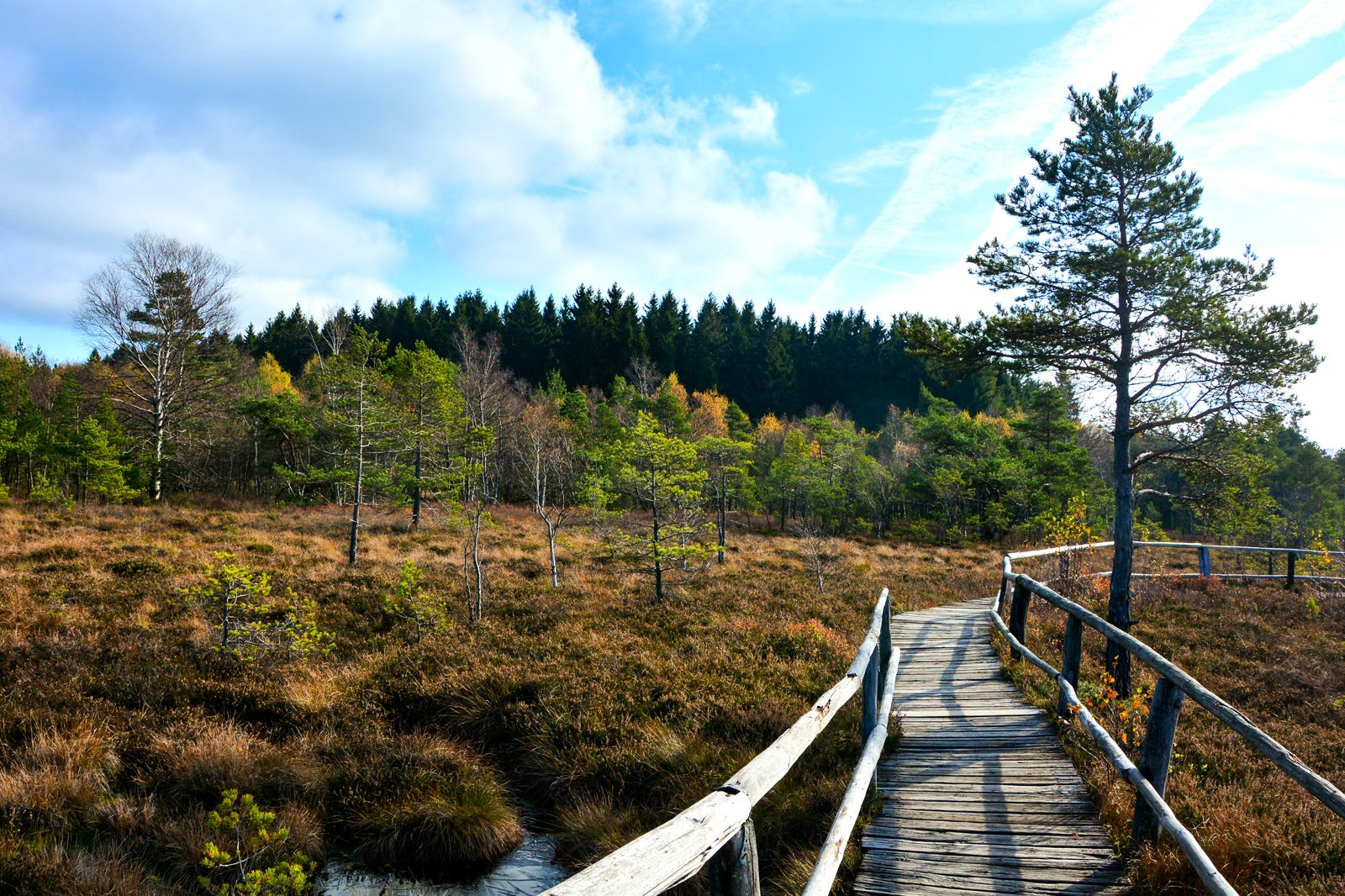 10 Best Natural Sights around Bavaria - Escape to Bavaria's Most ...