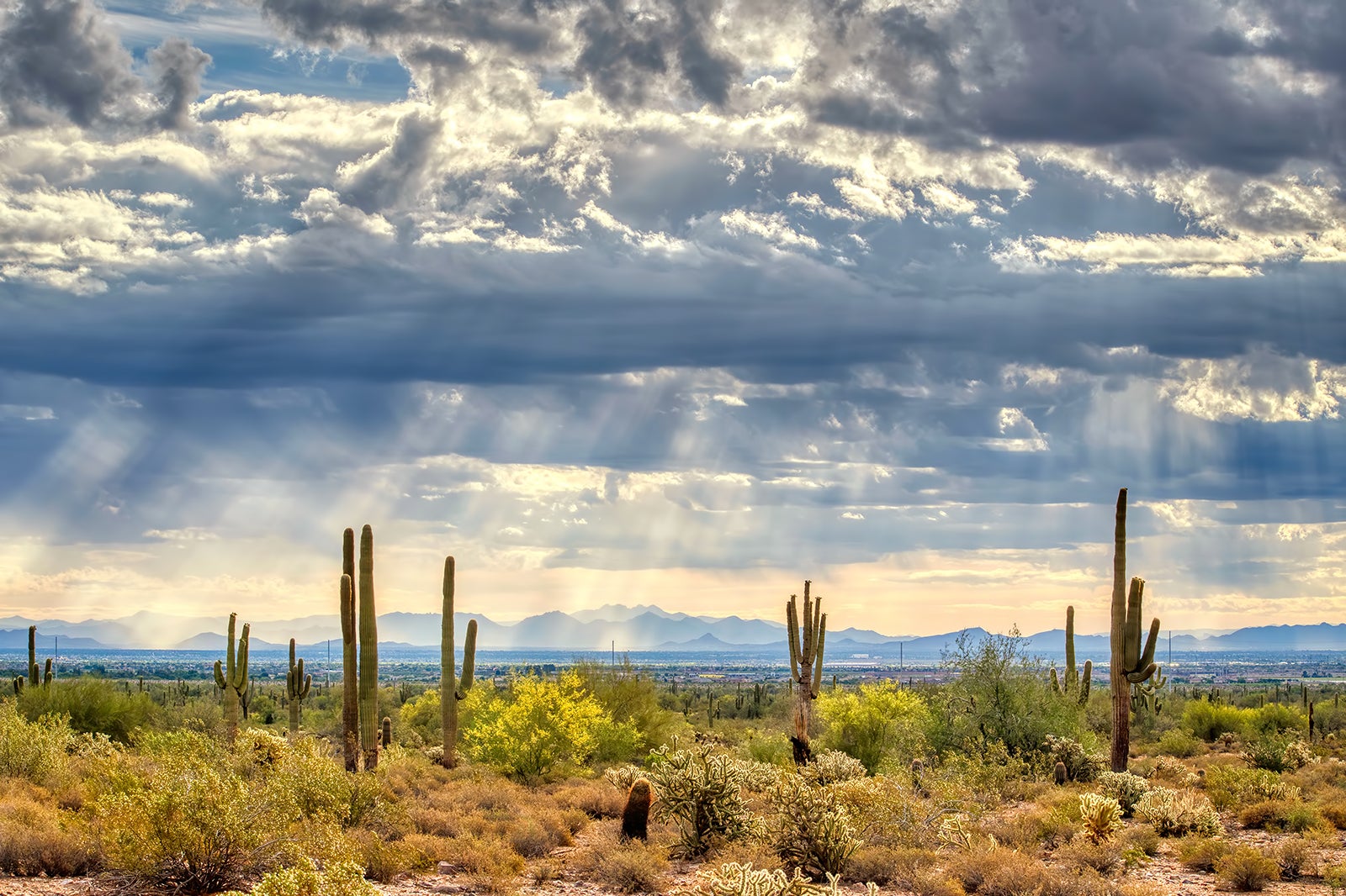 10 Mistakes People Make When Visiting Phoenix - What Not to Do in ...