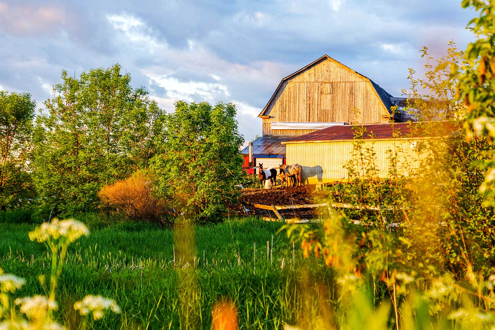 10 Best Places to Go Near Edmonton - Explore Central Alberta This ...