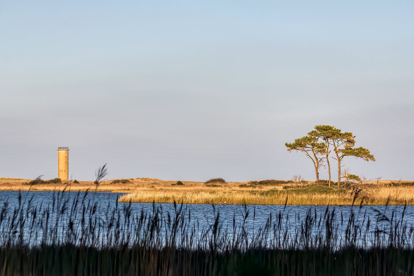 10 Best Things to Do in Rehoboth Beach - Explore the Nation's Summer ...