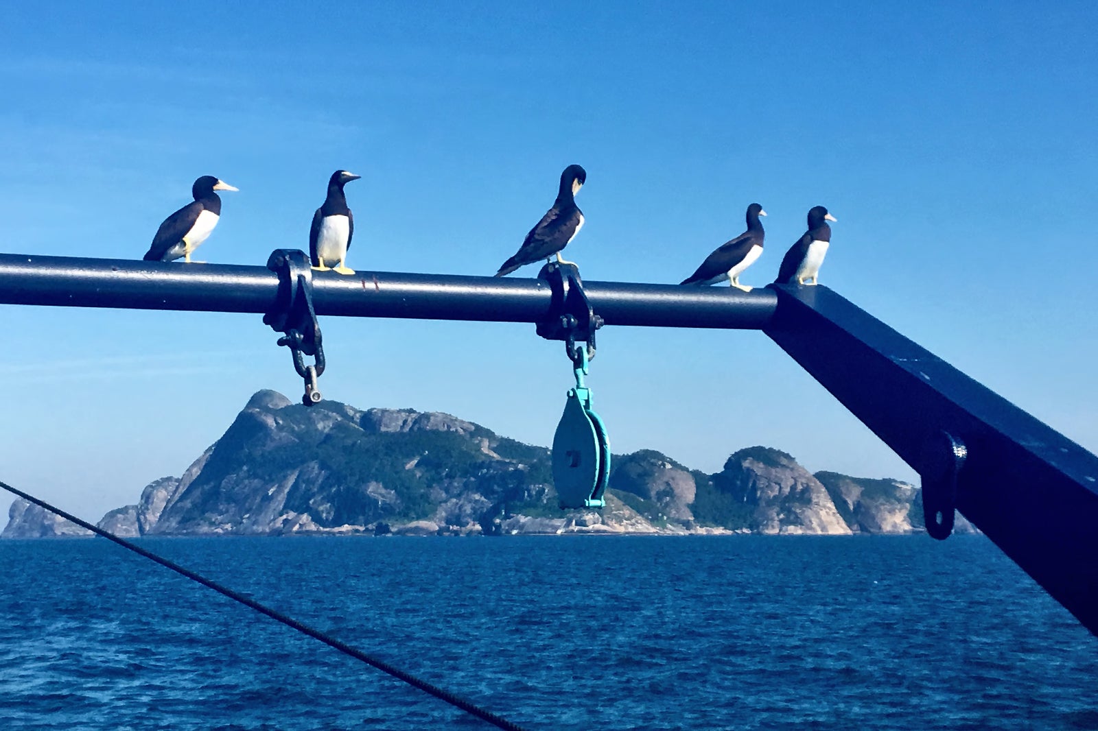 Arquipélago de Alcatrazes em São Sebastião - Um paraíso do ecoturismo ...