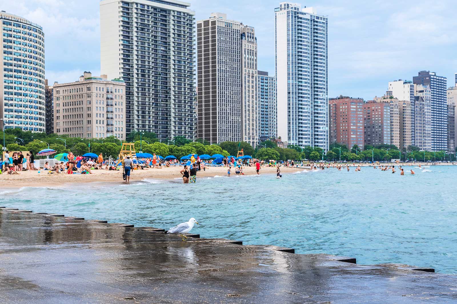 10 Best Beaches in Chicago - What is the Most Popular Beach in Chicago ...