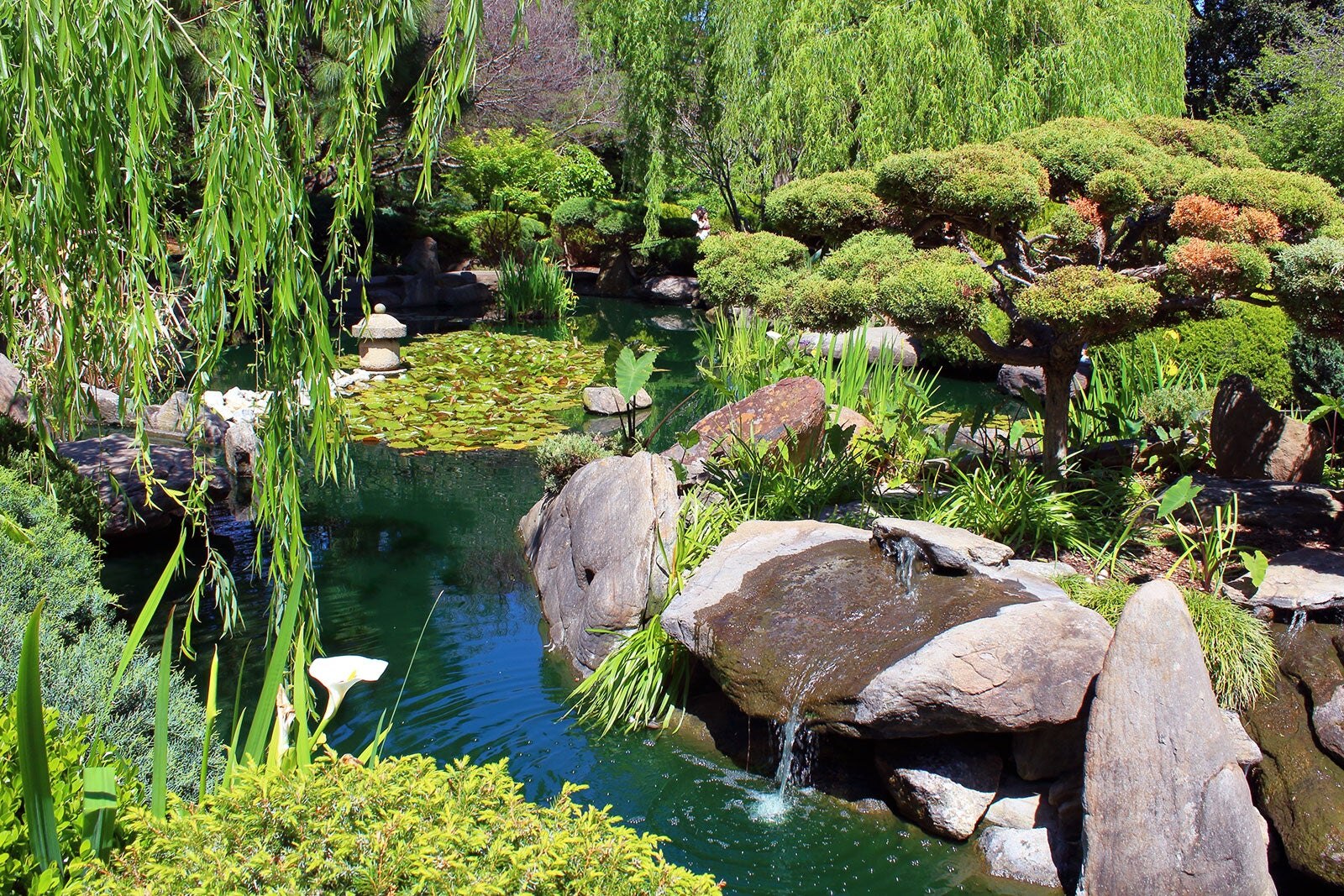 10 Best Things to Do in Adelaide - What is Adelaide Most Famous For ...