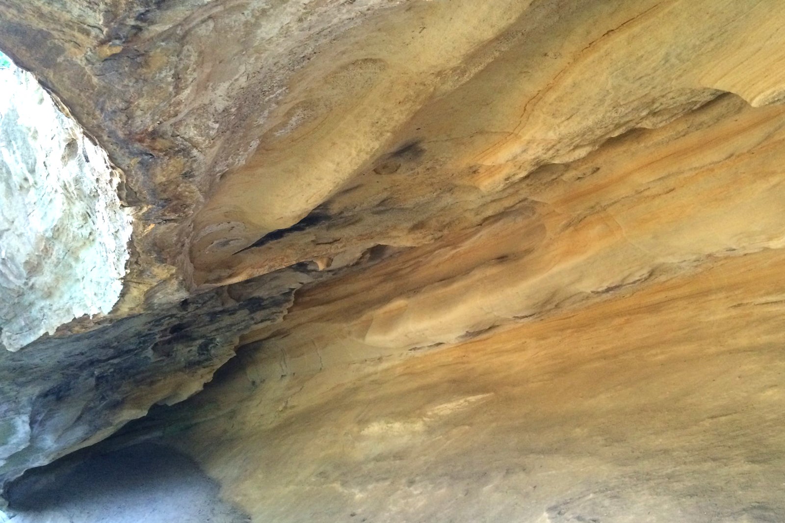 Dana Point Caves in San Diego - The Most Impressive Sea Caves in ...