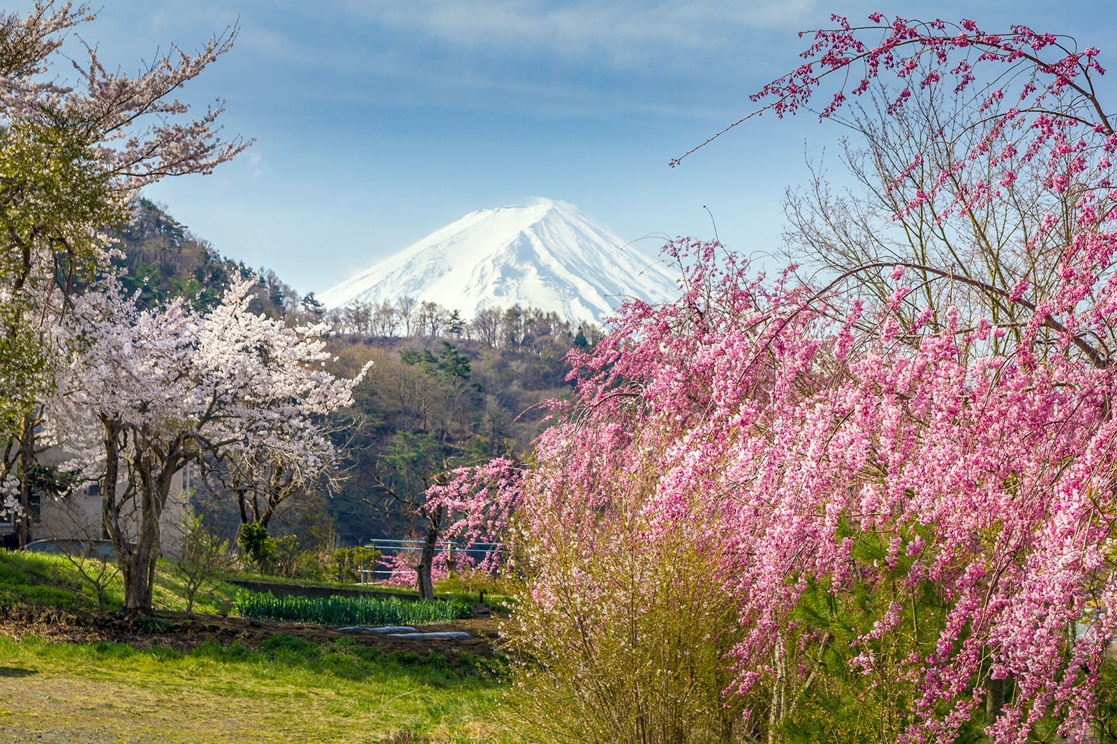 Hakone Travel Essentials - Useful Information to Help You Start Your ...