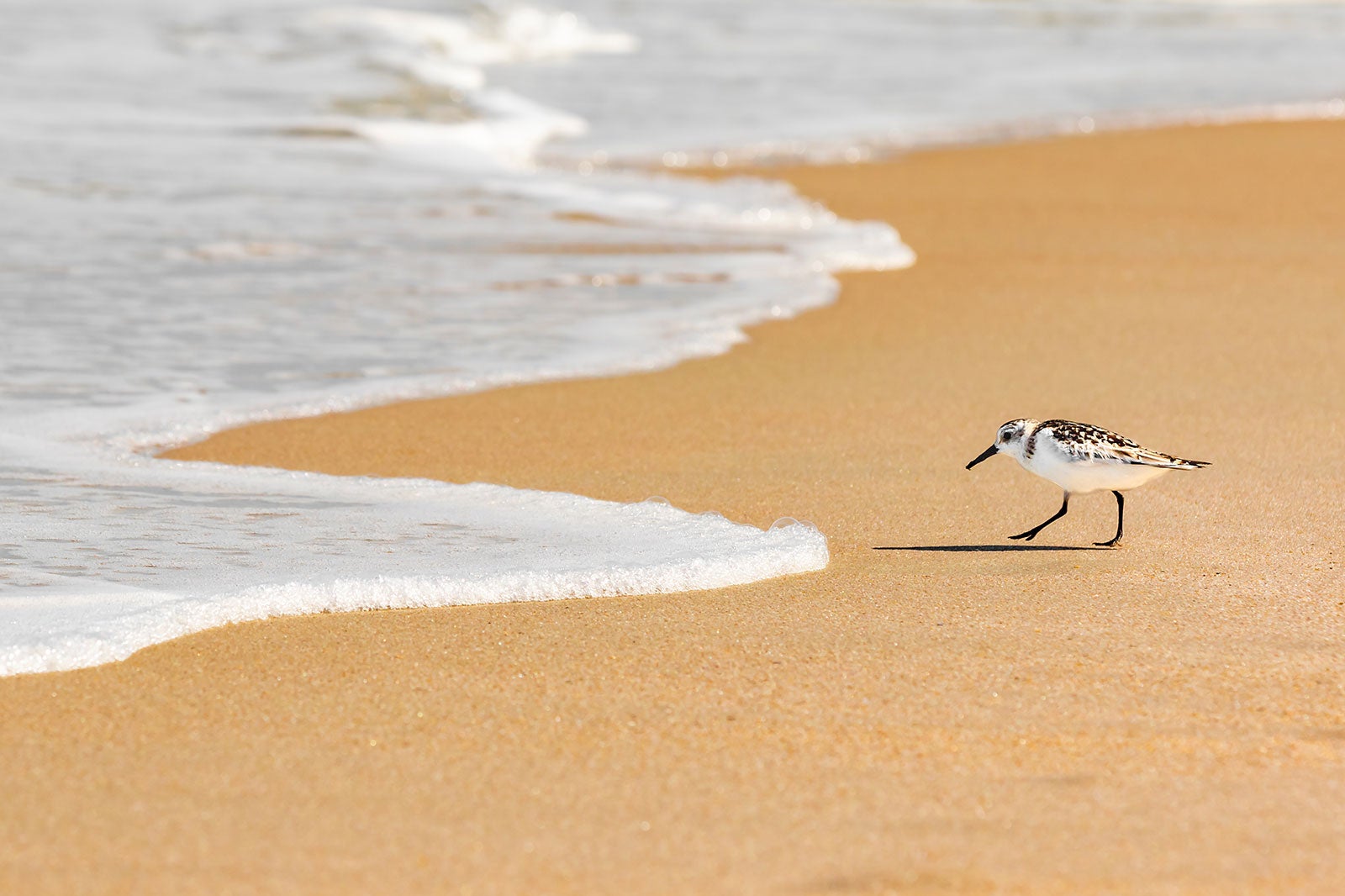 10 Best National Parks in Florida - Escape to Florida’s Most Beautiful ...