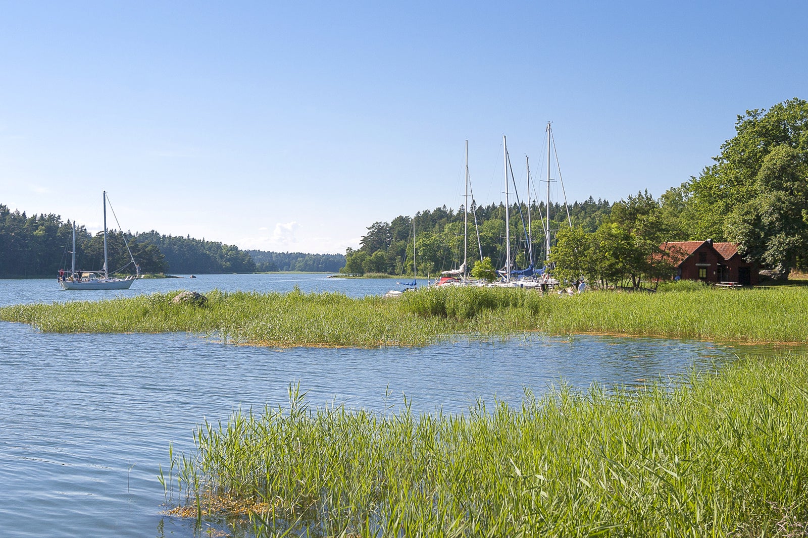 Finnhamn nära Stockholm - Variationsrik skärgårdsö med naturen i ...