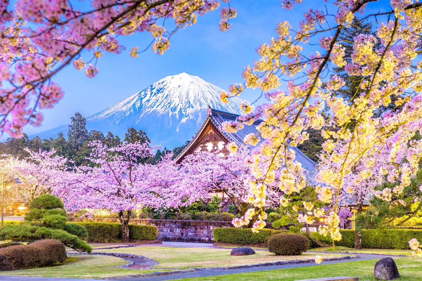 Fujinomiya Travel Essentials - Useful Information to Help You Start ...