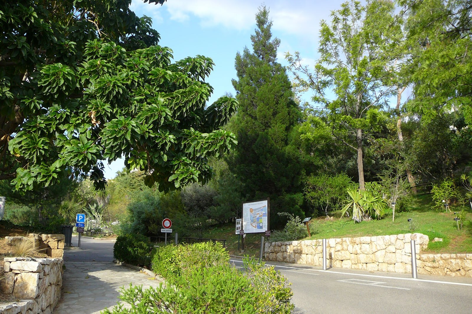 10 Best Parks in Nice - Explore Nice's Most Beautiful Outdoor Spaces ...