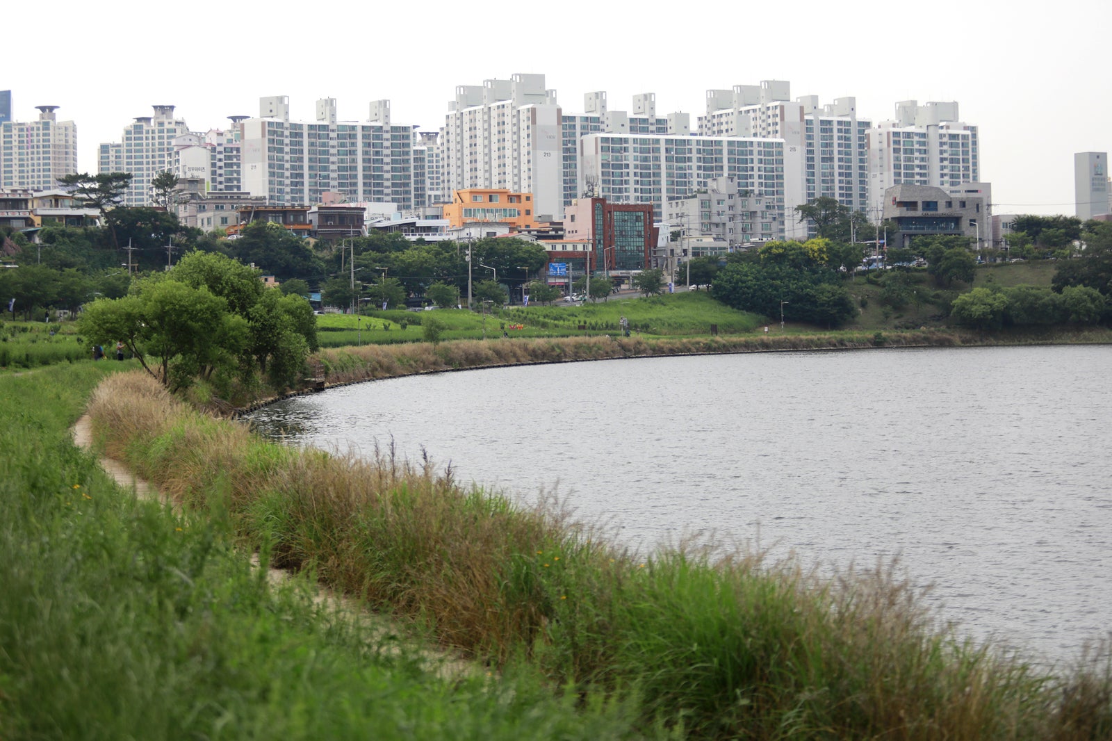 10 Best Free Things to Do in Ulsan - How to Experience Ulsan on a Small ...