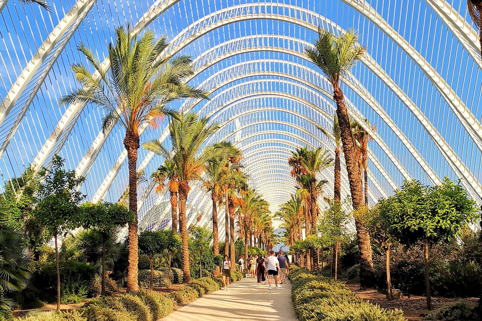 9 Best Things to Do for Couples in Valencia - What to Do on a Romantic ...