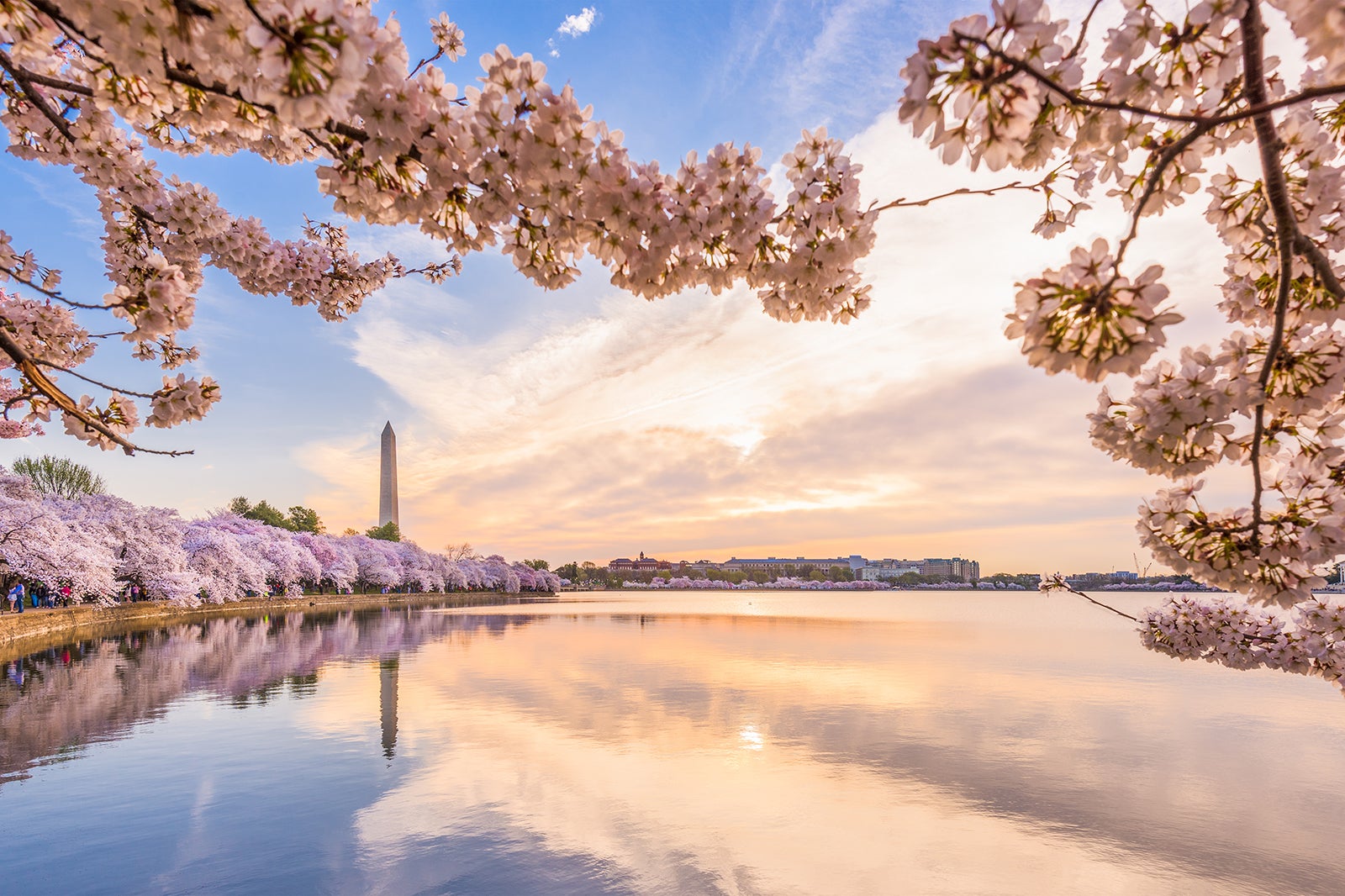10 Mistakes People Make When Visiting Washington DC - What Not to Do in ...