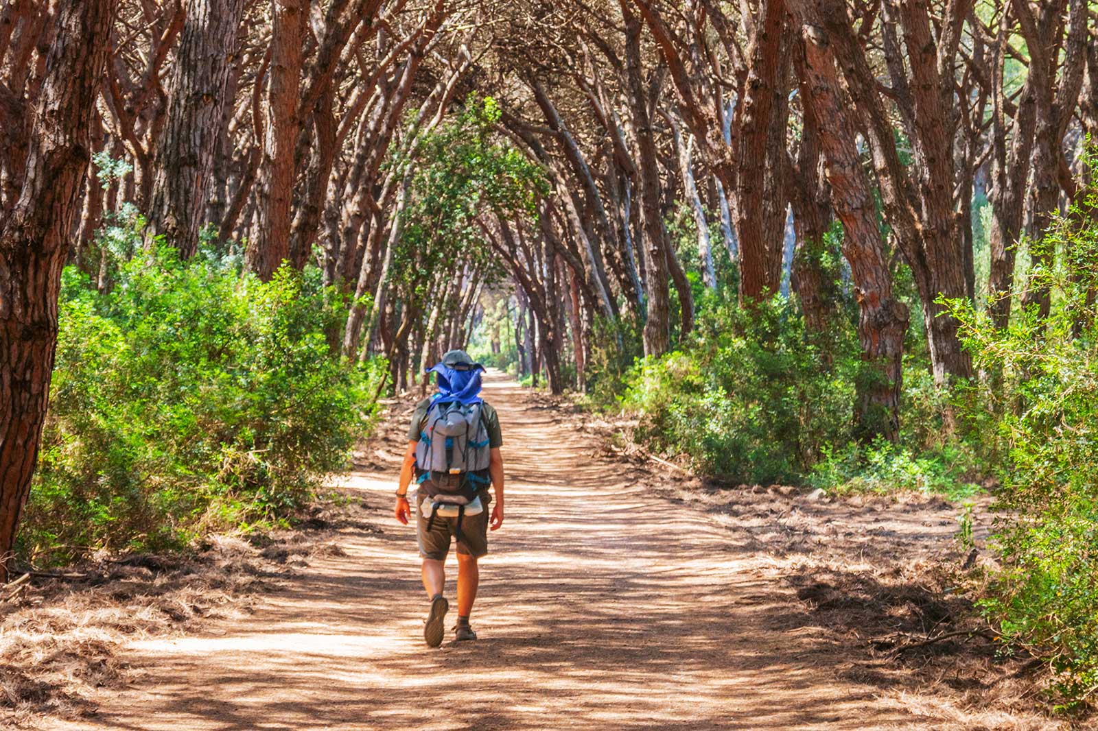 10 Best Scenic Walks in Rome - Take a Walk Around Rome’s Most Beautiful ...