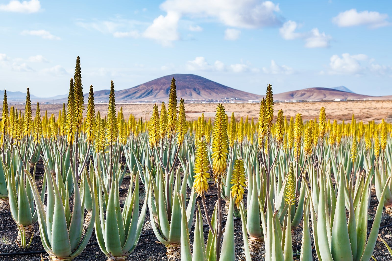 10 Things to Do Off the Beaten Track in Canary Islands - Interesting ...
