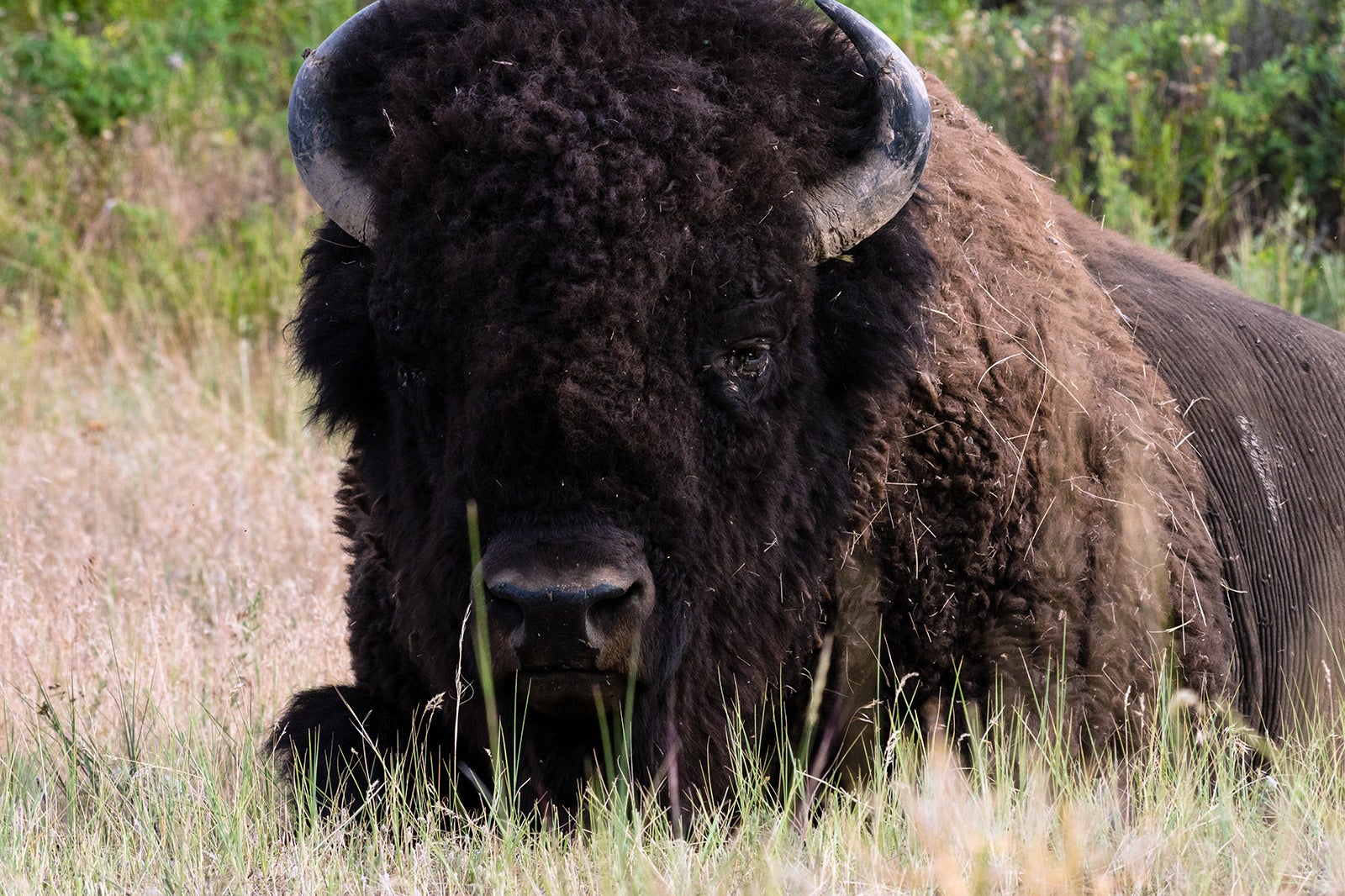 15 Best Things to Do in Montana - Spend a Weekend on a Road Trip Away ...